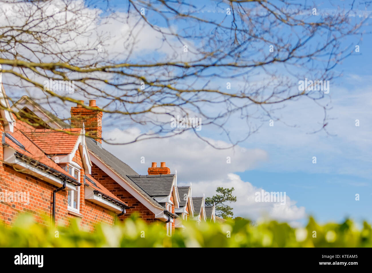 House roof detail and trees UK Stock Photo - Alamy