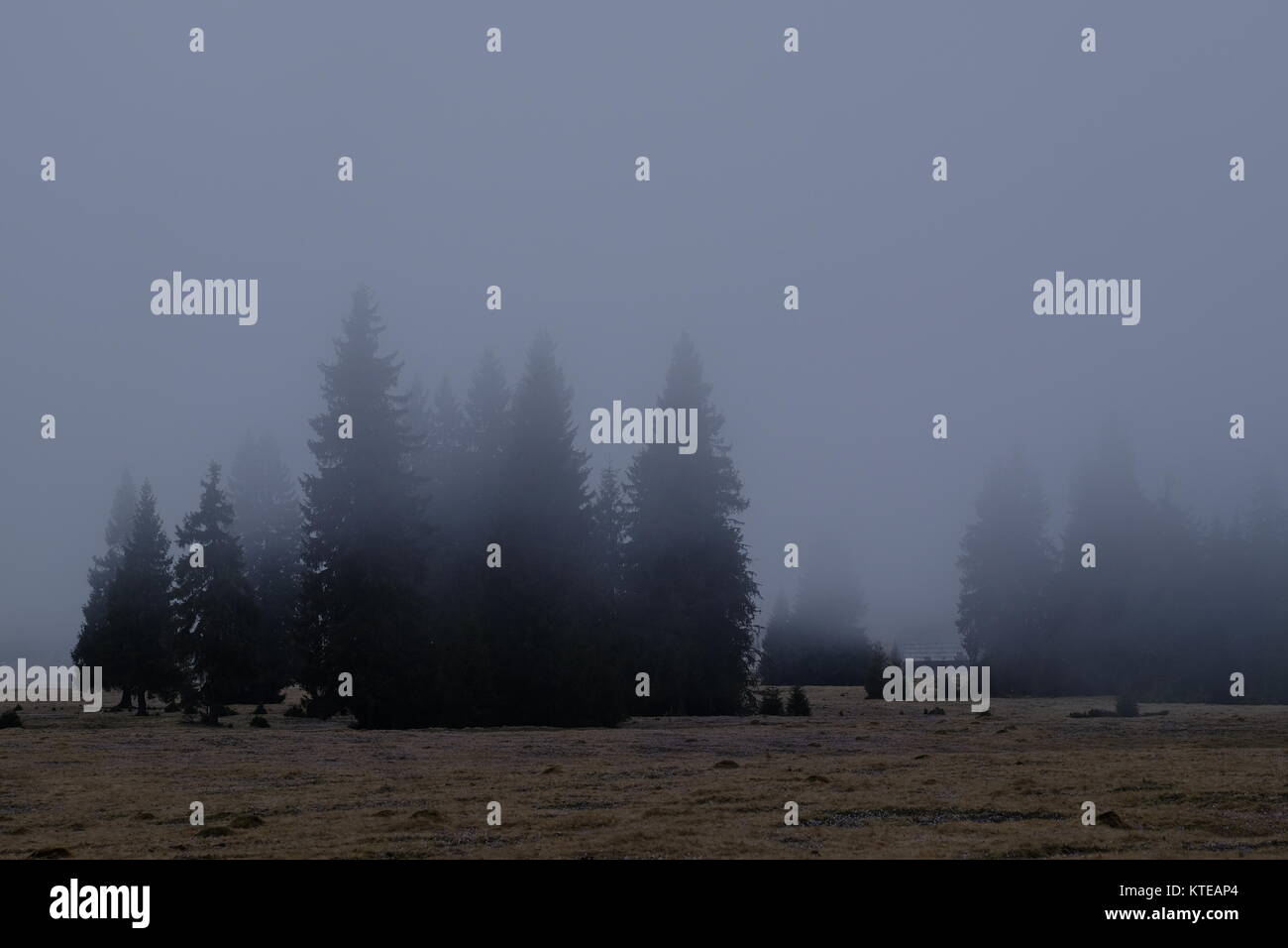 Padis plateau hi-res stock photography and images - Alamy