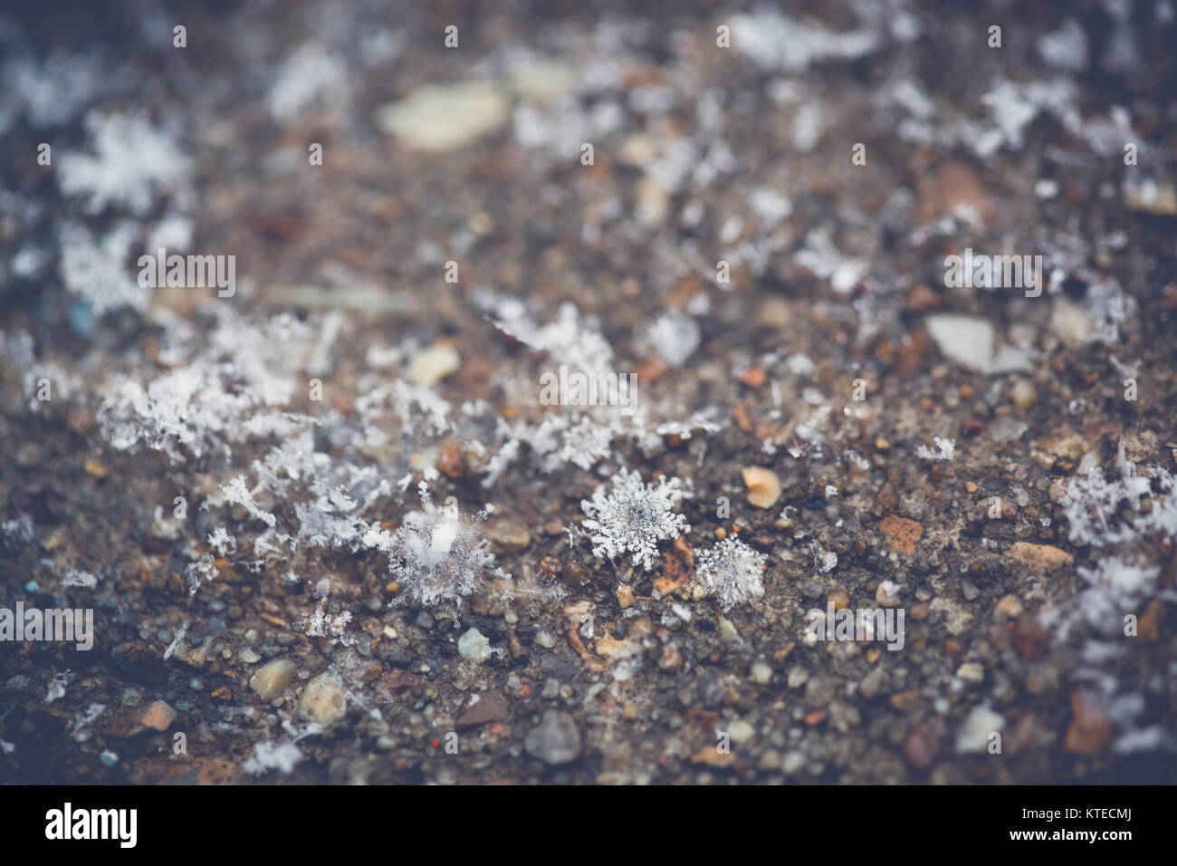 Snowflake ground hi-res stock photography and images - Alamy