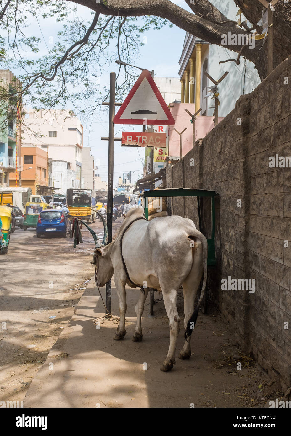 Pavement culture hi-res stock photography and images - Alamy