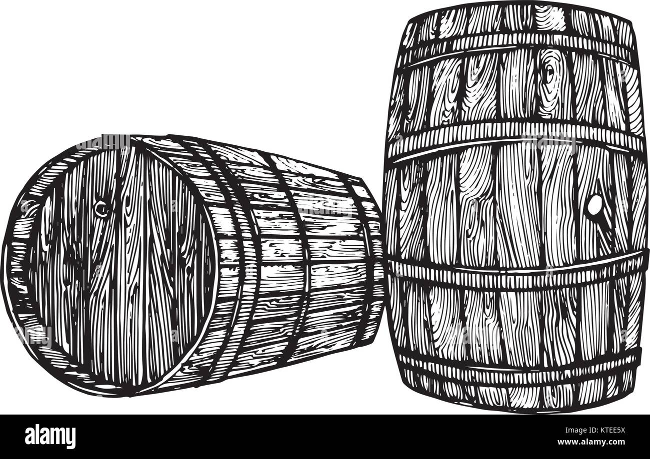 Vector hand drawing wine barrel. Ink drawn wooden barrel in rustic ...