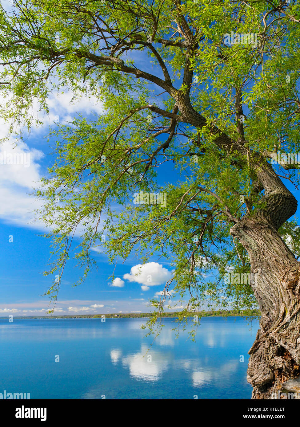 Seneca Lake State Park, Finger Lakes, Geneva, New York, USA Stock Photo ...