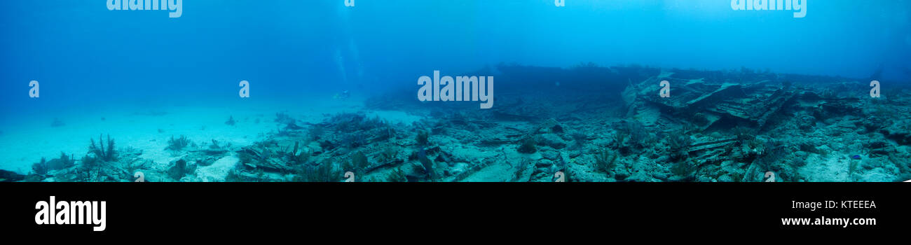 An underwater panorama of divers exploring the City of Washington ...