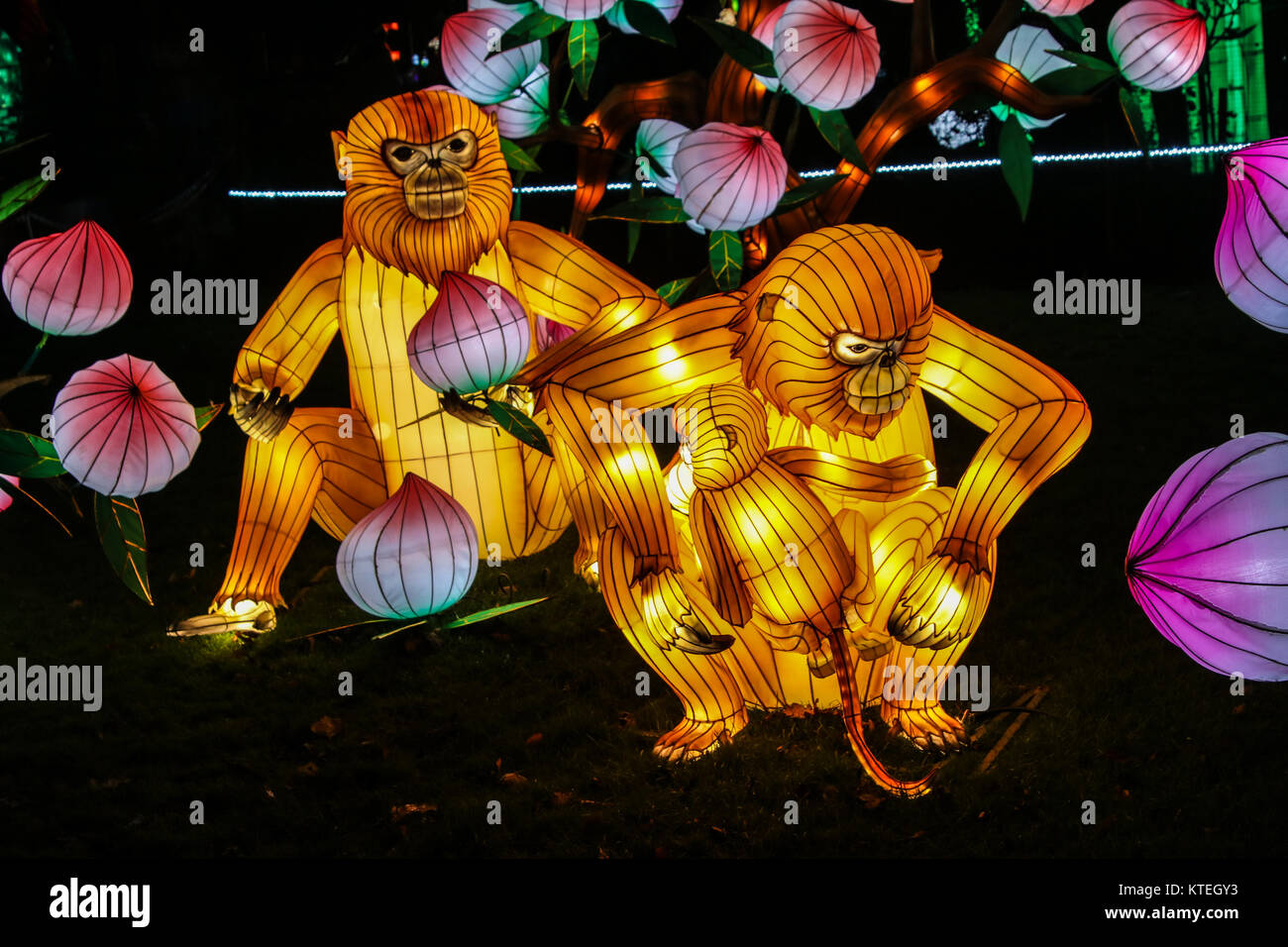 Monkey mannequin hi-res stock photography and images - Alamy