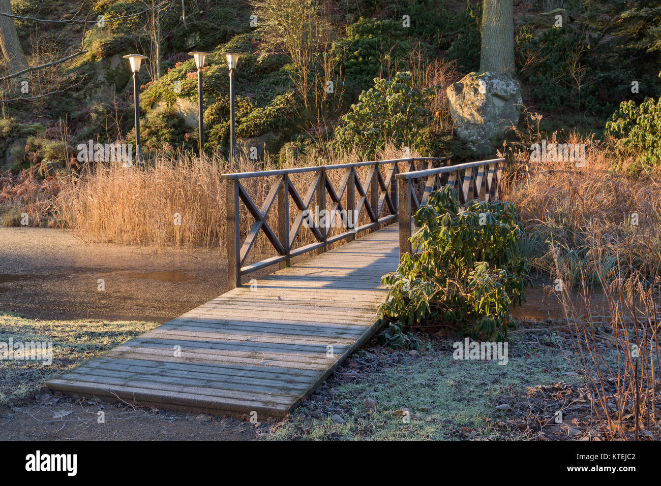 Walk in pond hi-res stock photography and images - Alamy
