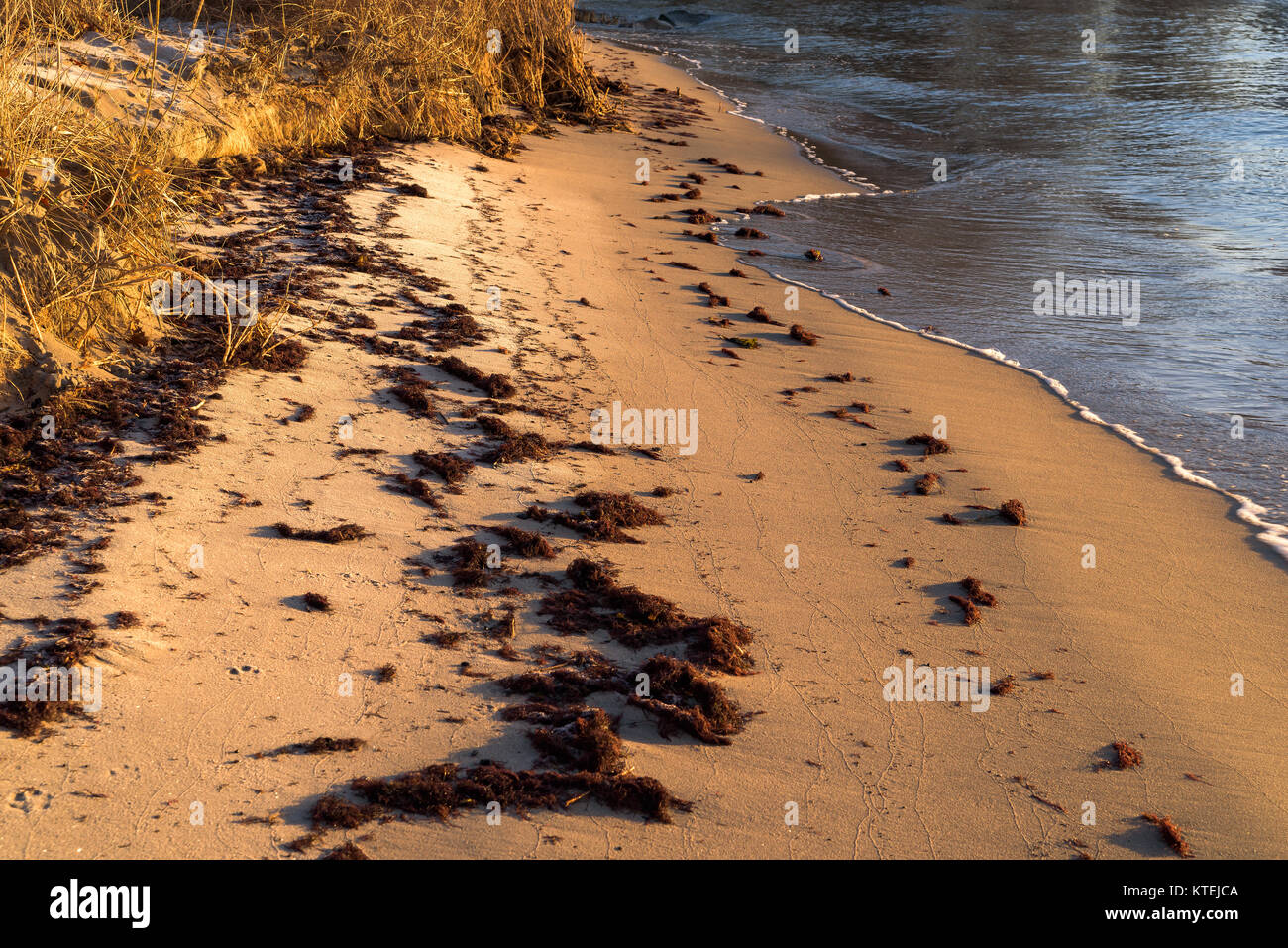 Small stretch of sandy beach on a cold and sunny morning. There is ...