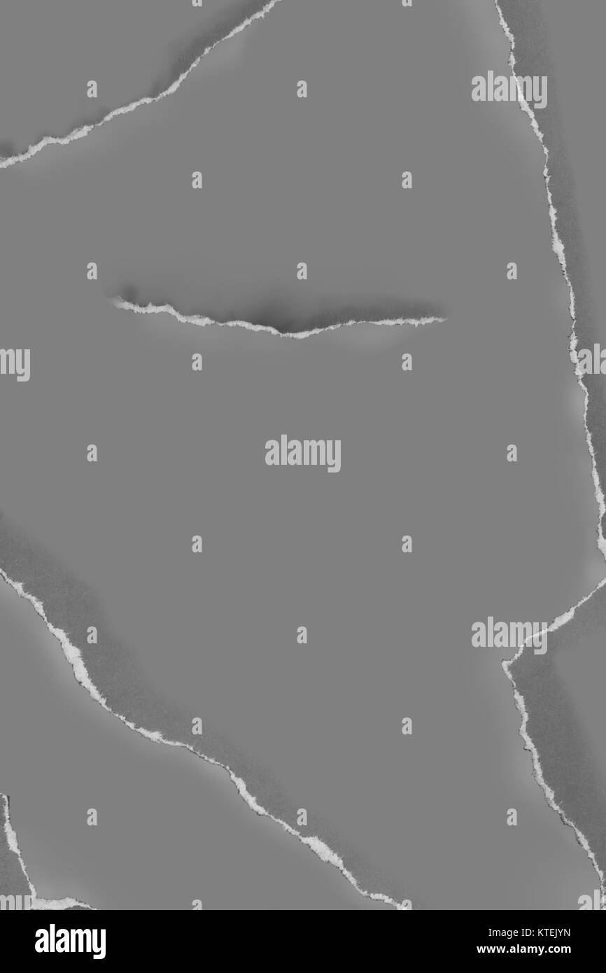 Various teared pieces of paper showing the fibers on grey background ...