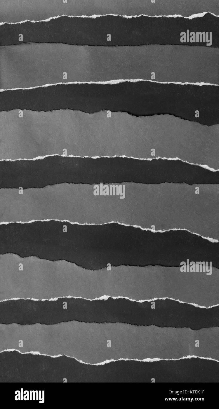 Various teared pieces of paper showing the fibers on dark background ...