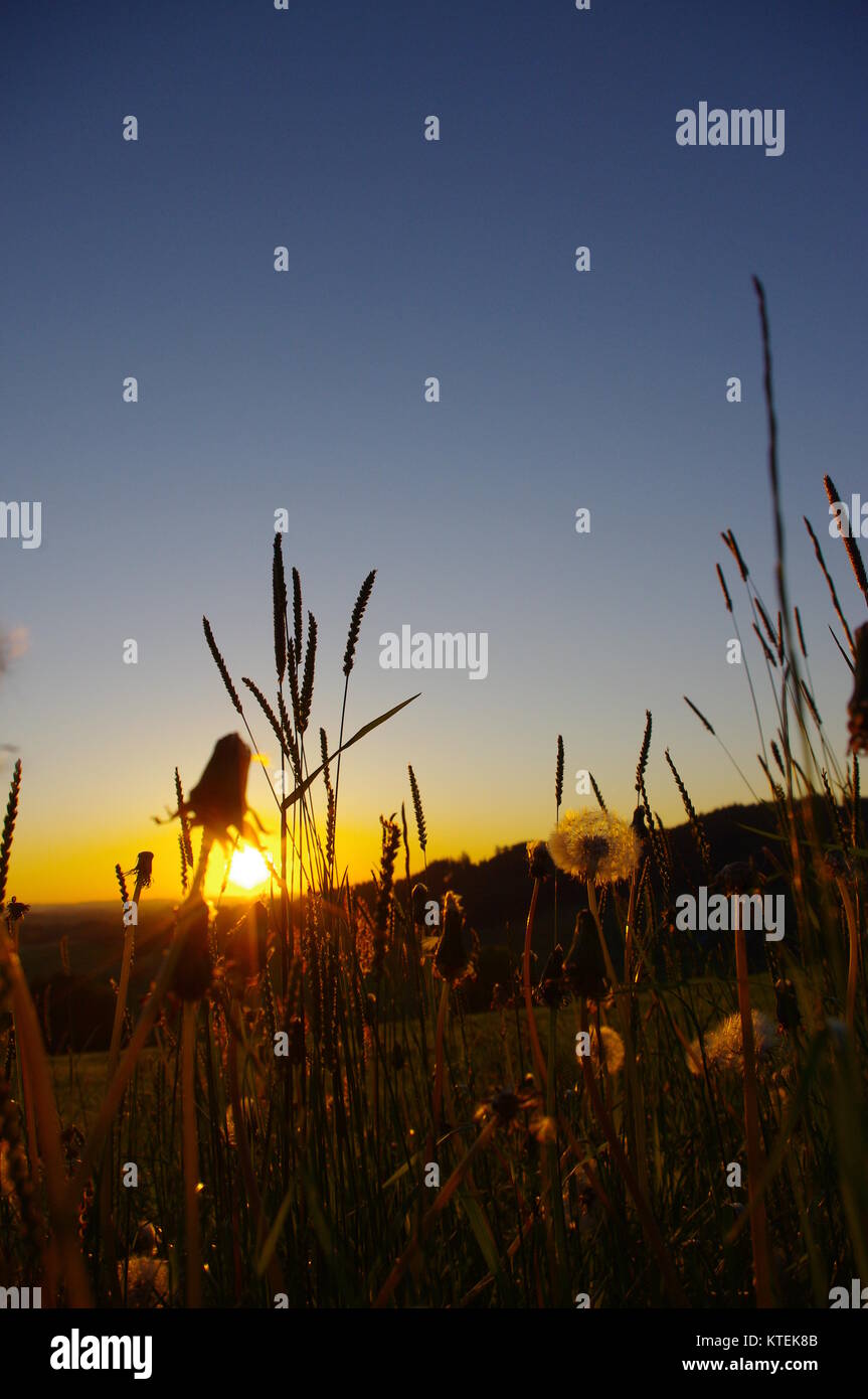 Sunset_beauty hi-res stock photography and images - Alamy