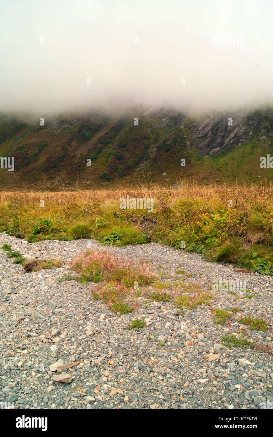 landscape: dry rocky channel of a temporary watercourse among the ...