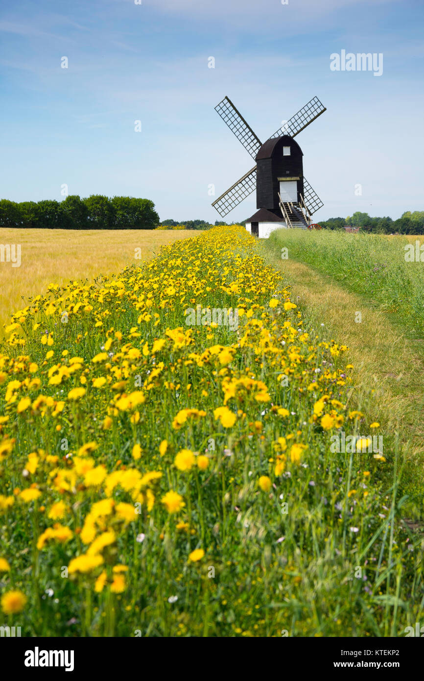 Pitstone windmill, buckinghamshire hi-res stock photography and images ...