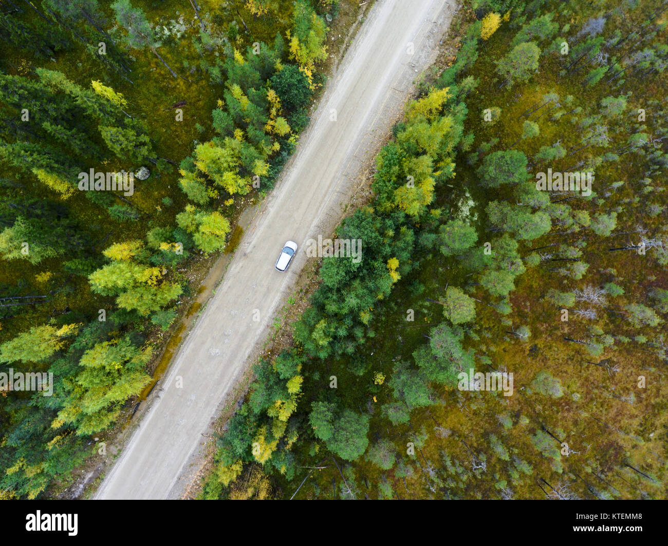 Top view at passenger car driving along dirt road between swamps in ...
