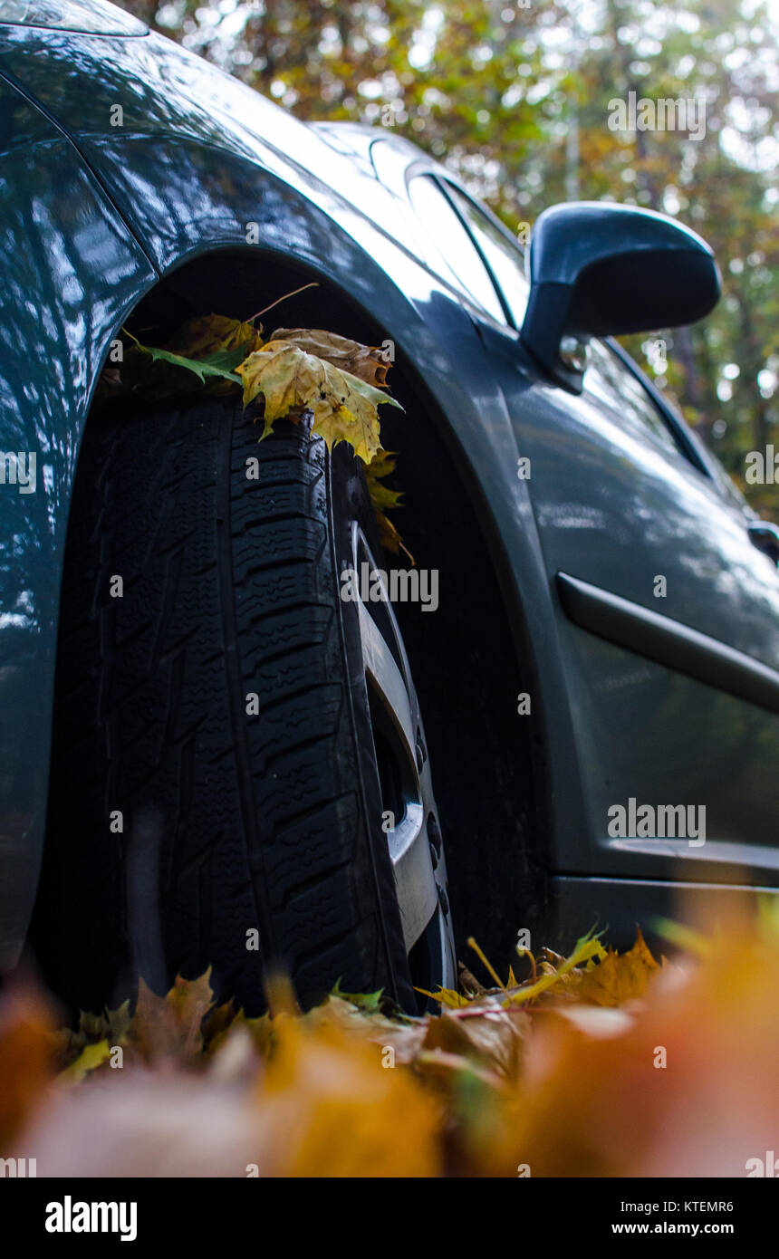 Car and tires in autumn color leaves Stock Photo - Alamy