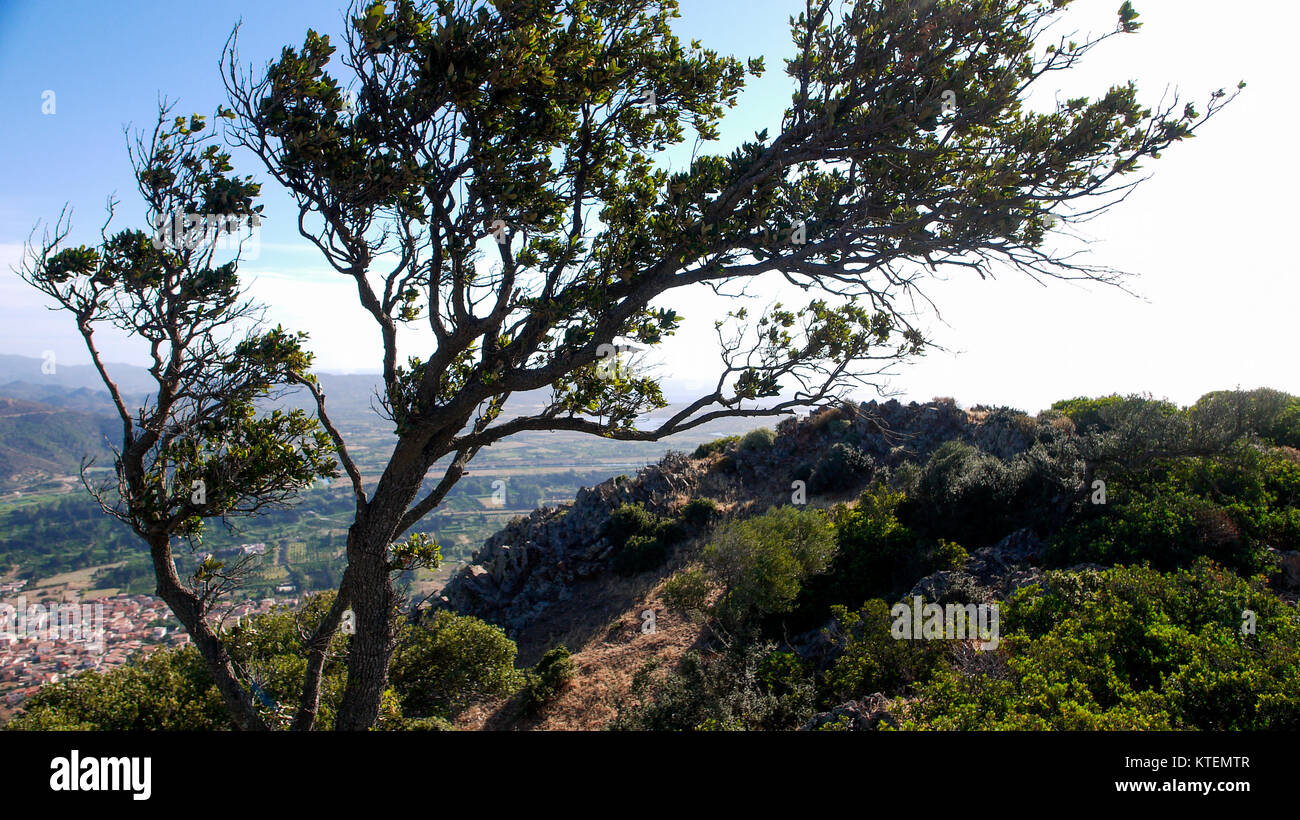 Sardinian landscape, Nuraghe district, Sardinia, Italy Stock Photo - Alamy