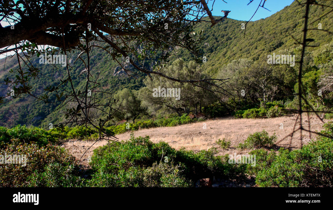 Sardinian landscape, Nuraghe district, Sardinia, Italy Stock Photo - Alamy