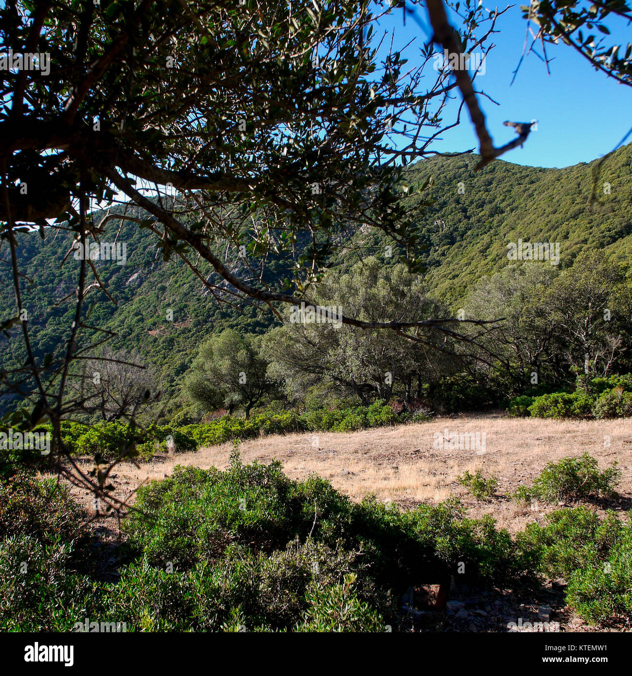 Sardinian landscape, Nuraghe district, Sardinia, Italy Stock Photo - Alamy
