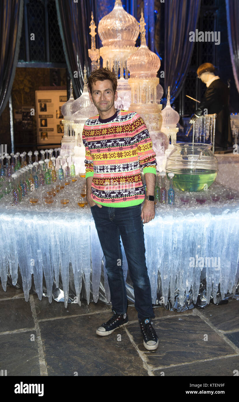 VIP launch of 'Hogwarts In The Snow' at Warner Bros. Studio Tour London ...