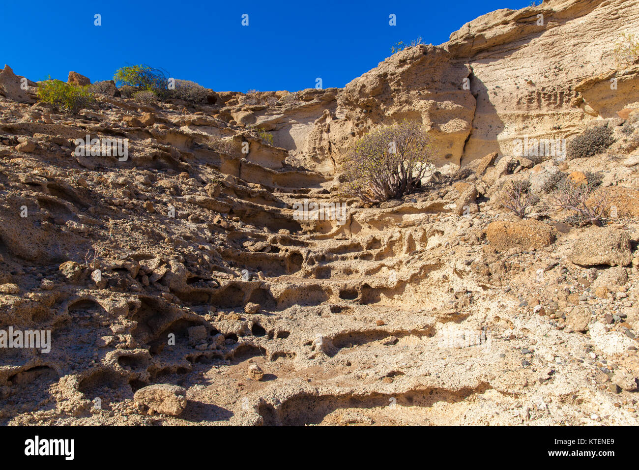Natural Monument Centinela mountain in Tenerife island (Spain Stock ...