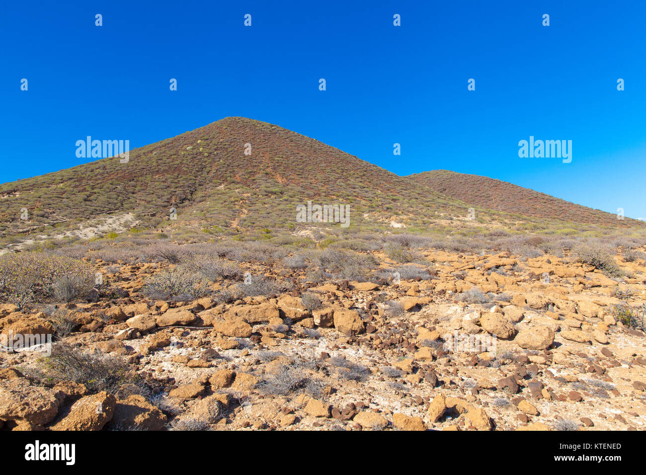 Natural Monument Centinela mountain in Tenerife island (Spain Stock ...