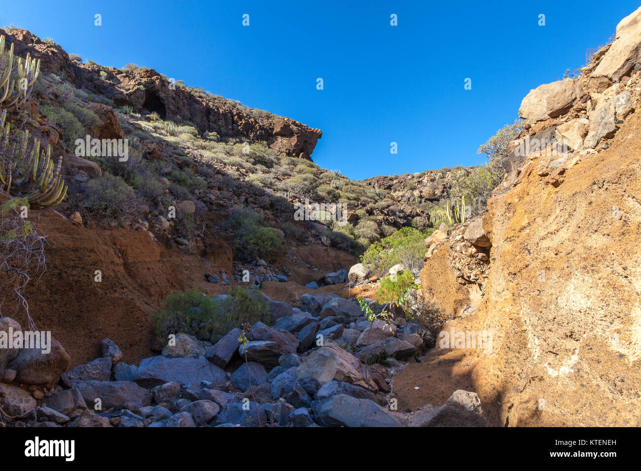Natural Monument Centinela mountain in Tenerife island (Spain Stock ...