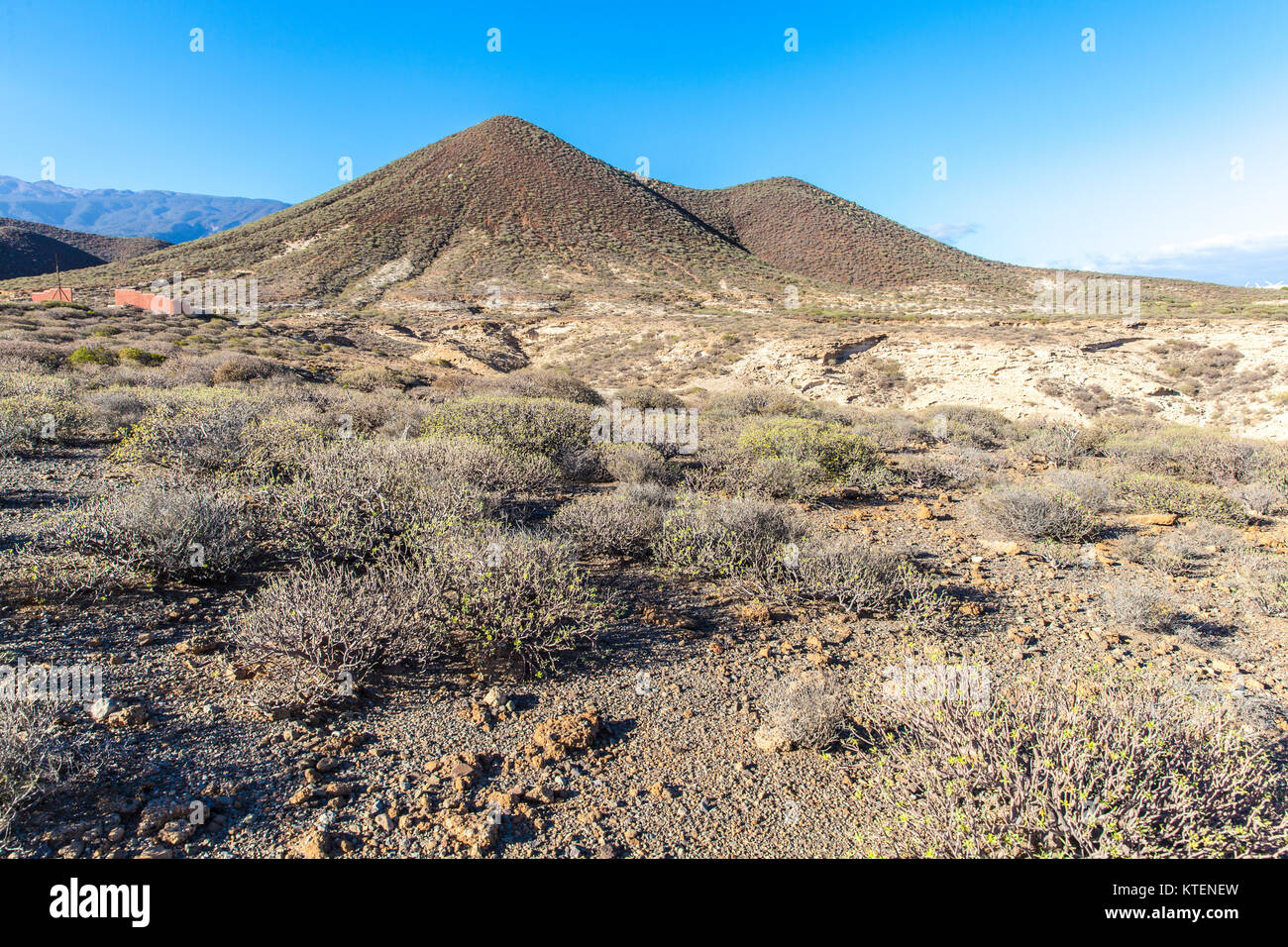 Natural Monument Centinela mountain in Tenerife island (Spain Stock ...