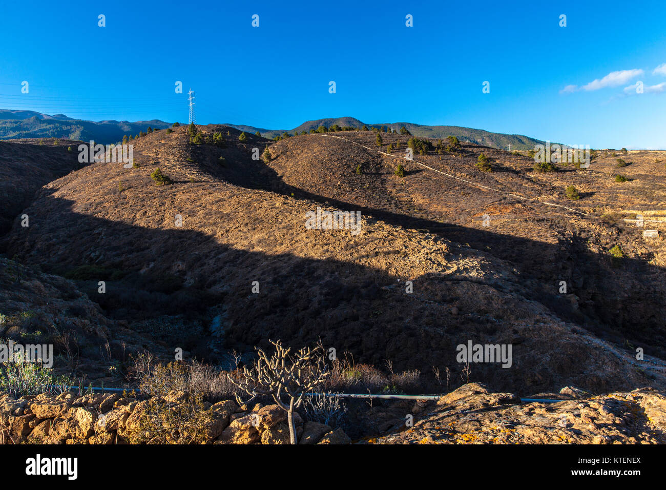 Natural Monument Centinela mountain in Tenerife island (Spain Stock ...