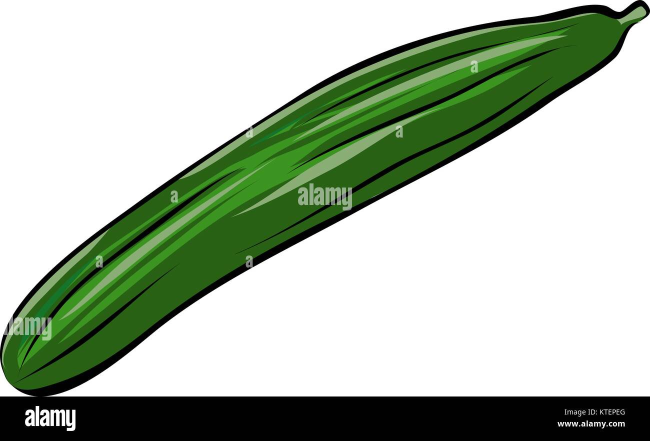 Hand drawn green cucumber, vector Stock Vector Image & Art - Alamy