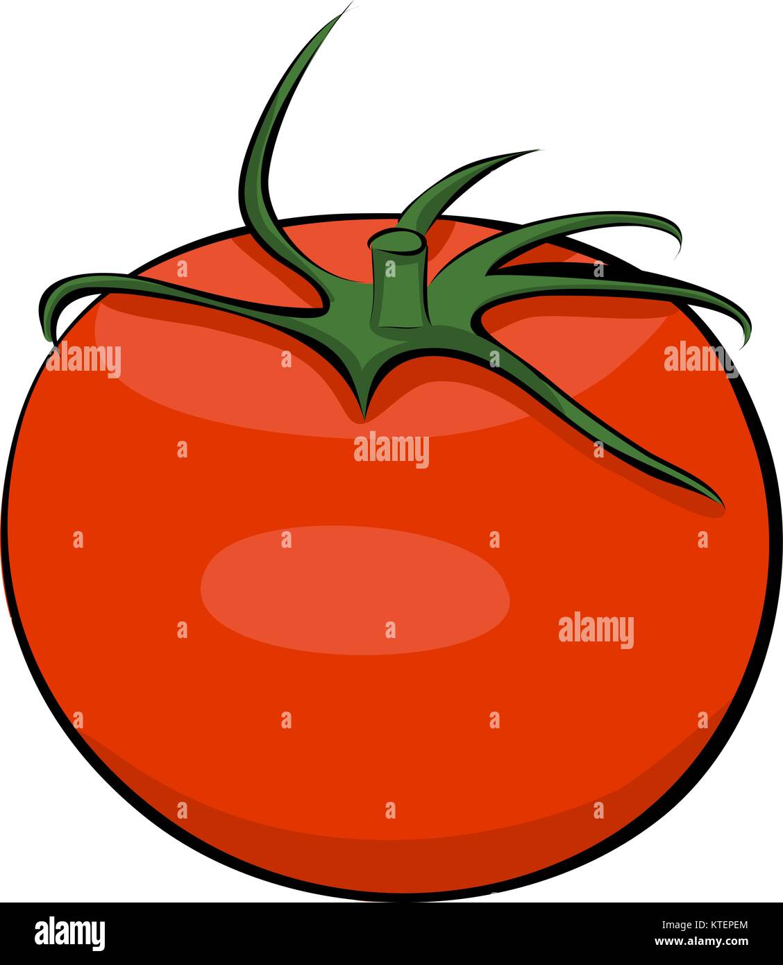 Hand drawn red tomato, vector Stock Vector Image & Art - Alamy