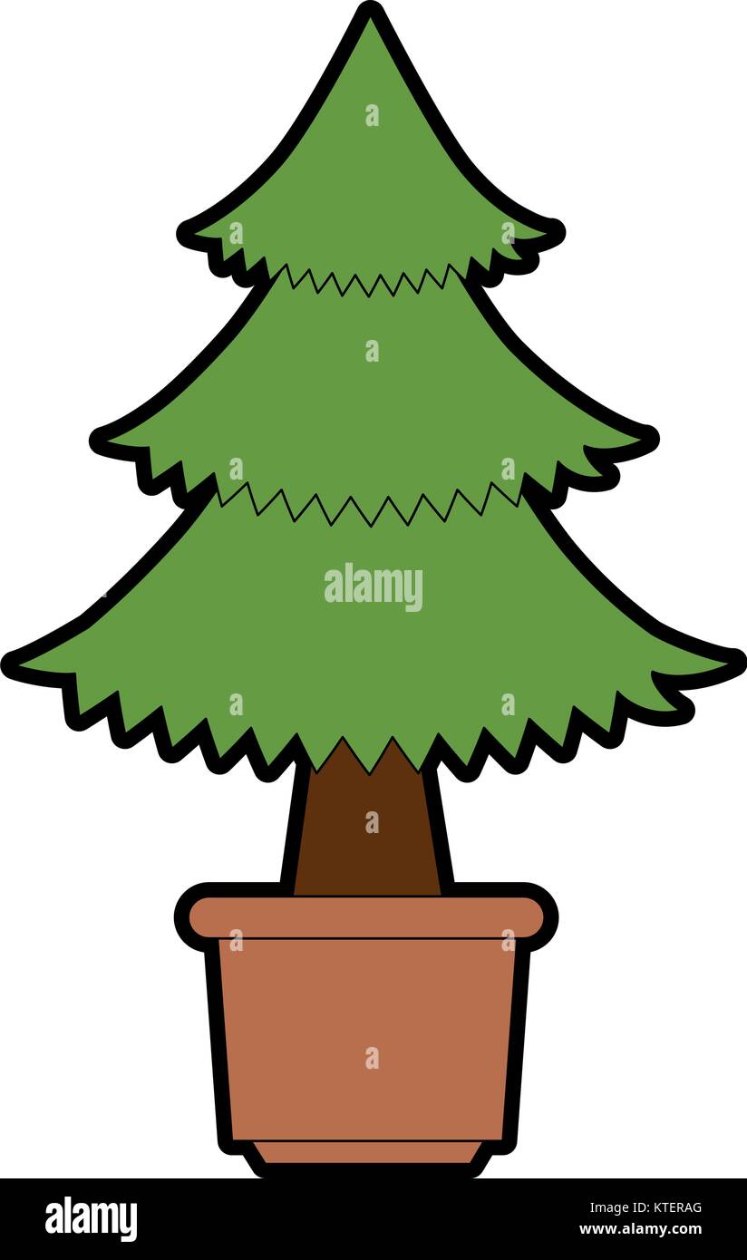 pine tree plant in pot vector illustration design Stock Vector Image ...