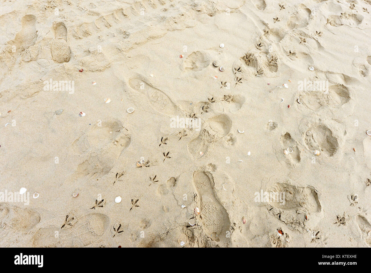 Steps into sand hi-res stock photography and images - Alamy