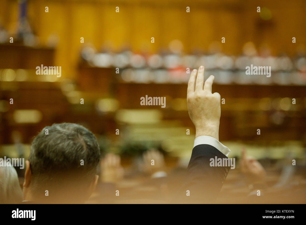 Members of Romanian Parliament voting by raising their hands Stock ...