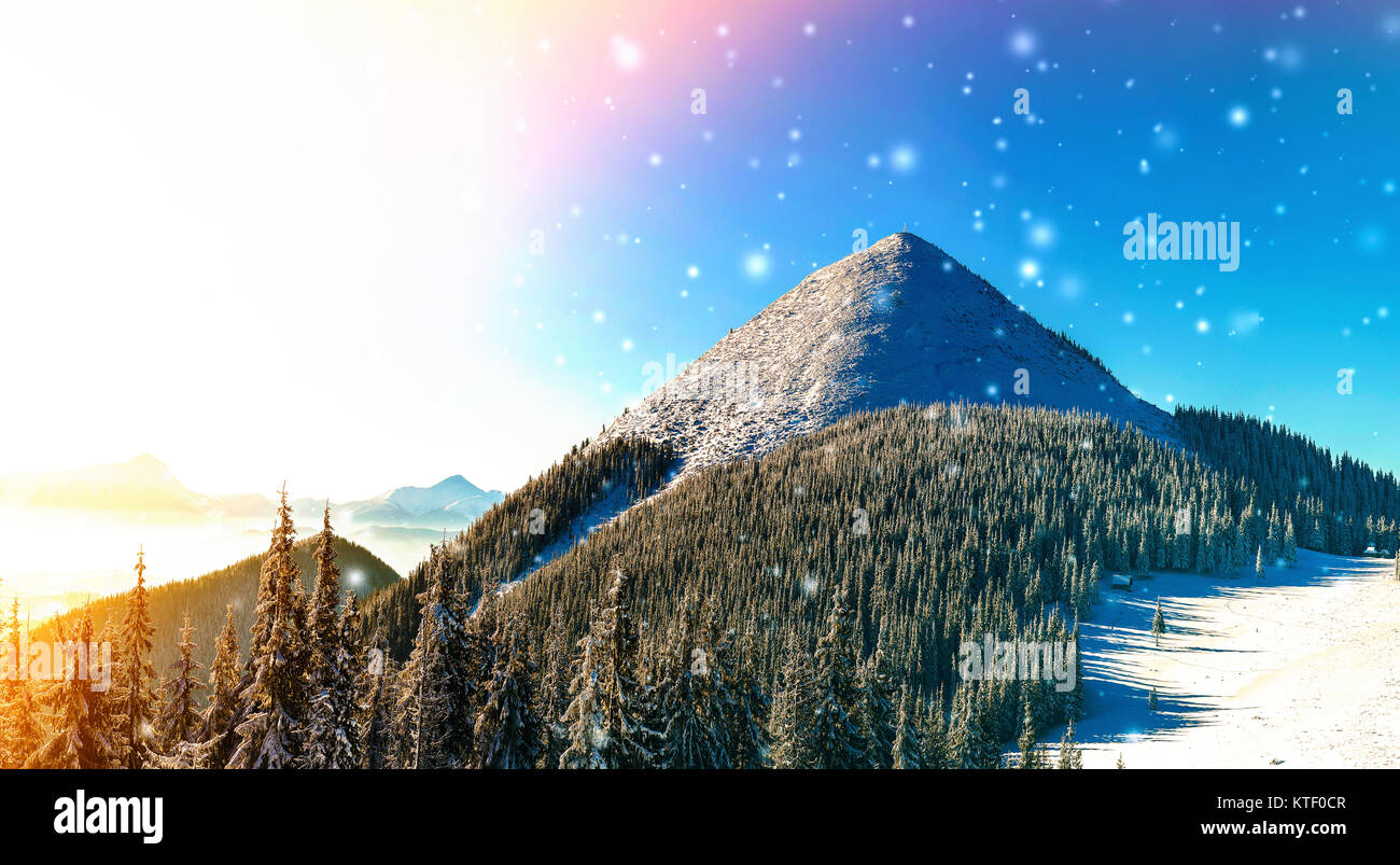 Beautiful winter panorama with fresh falling snow. Landscape with ...