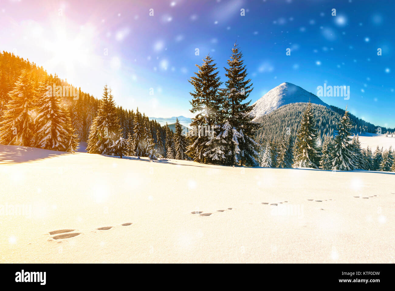 Beautiful winter panorama with fresh falling snow. Landscape with ...