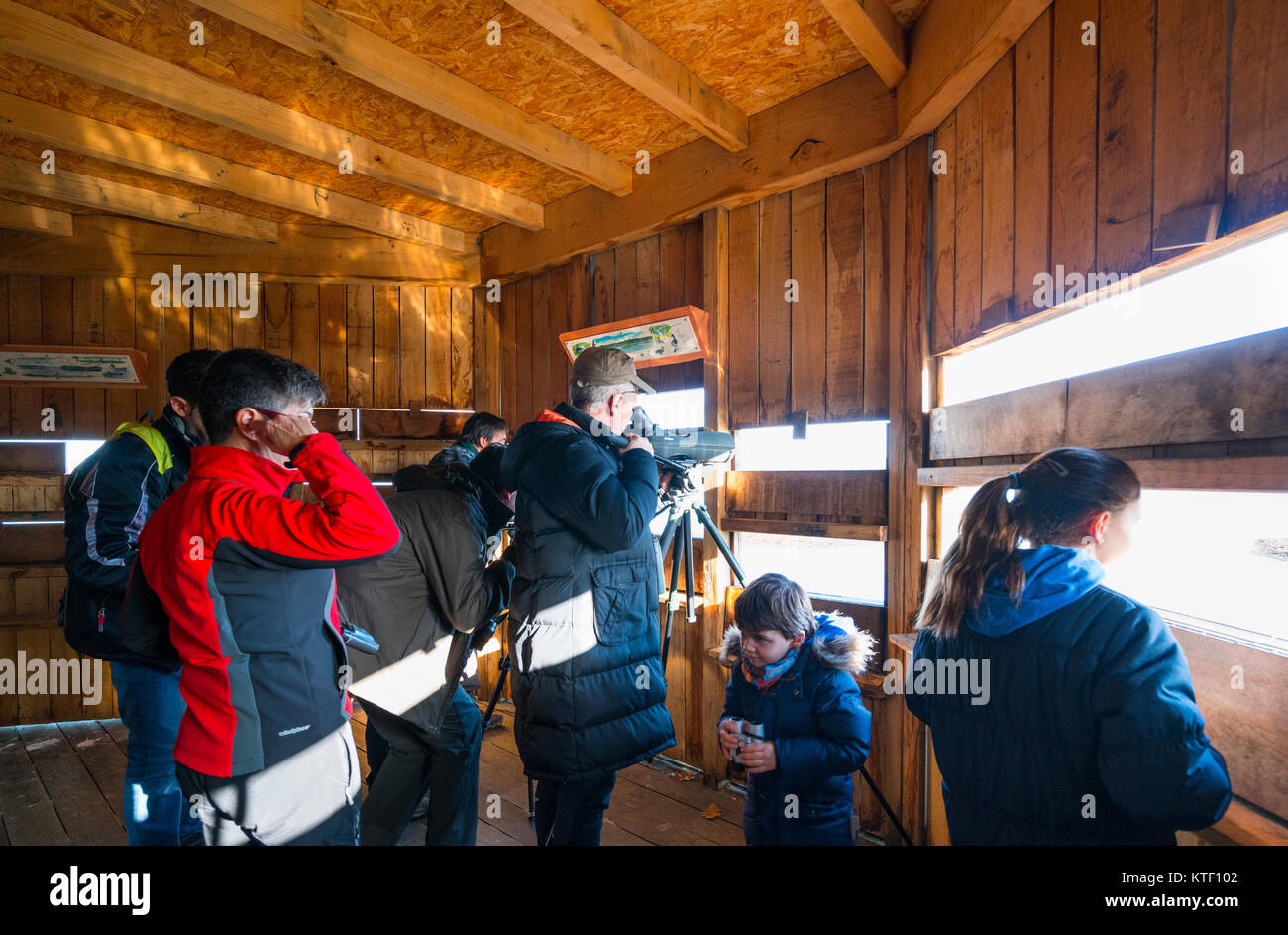 Birdwatching, or birding, wildlife observation, Réserve Naturelle ...