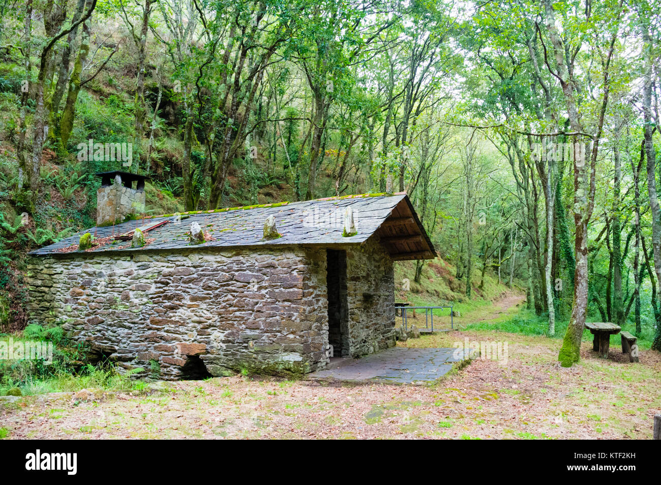 Shelter cabin at a dense Galician native forest by the river Sor. Mañon ...