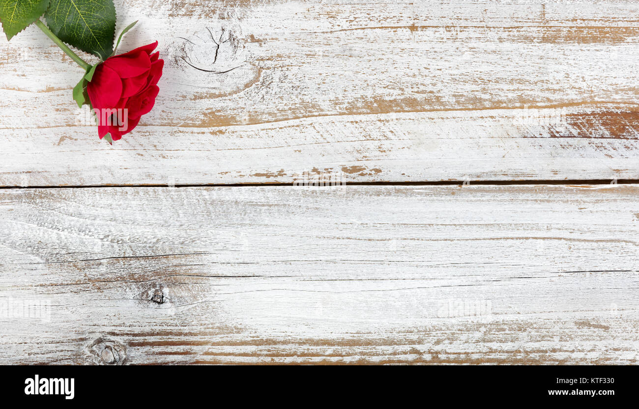 Single red rose resting on rustic white wood in flat lay view Stock ...