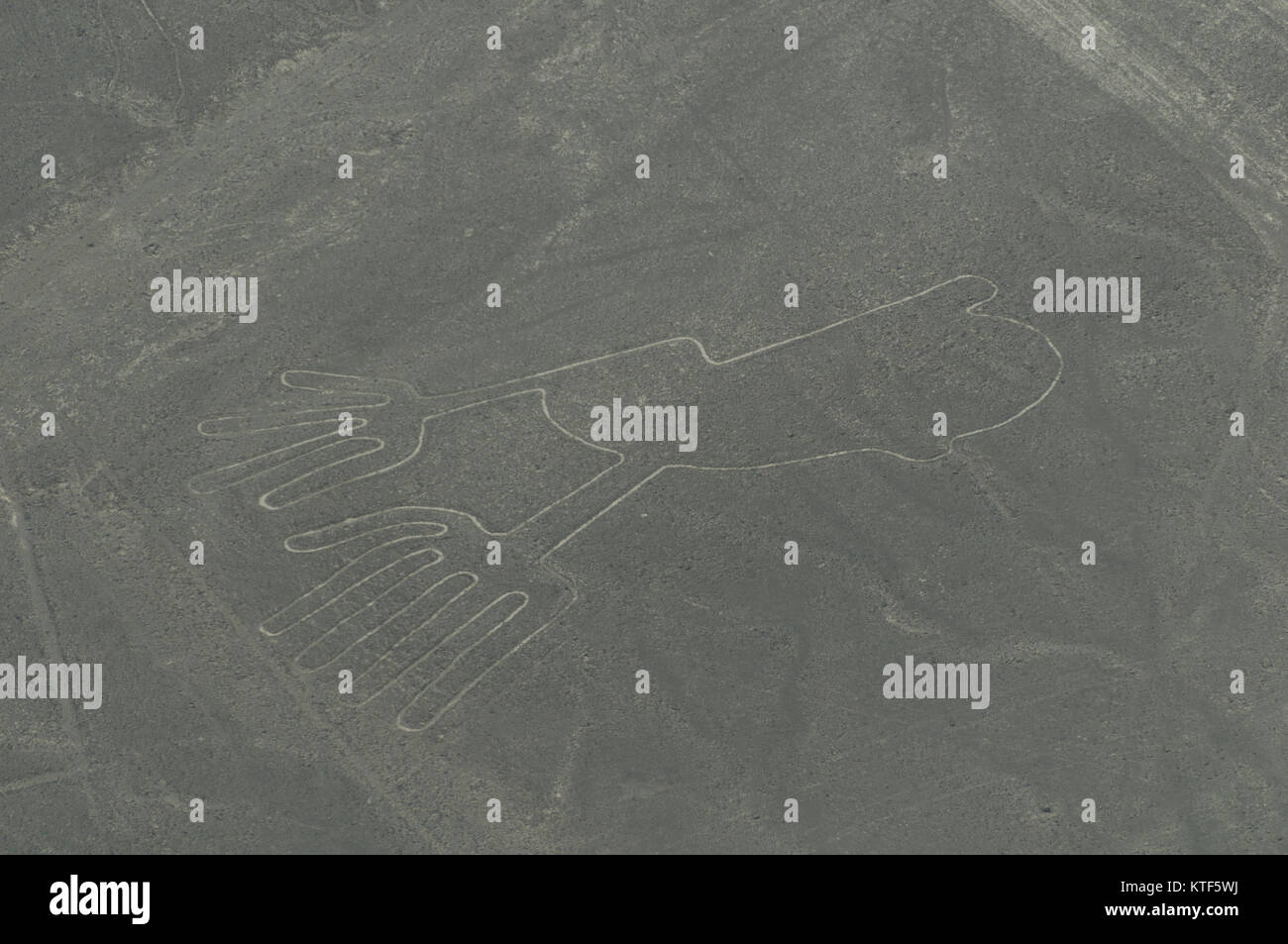 Geoglyph on the plain of Nazca in Peru Stock Photo - Alamy