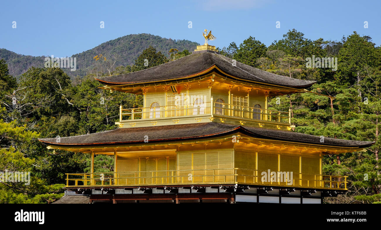 Golden Temple Japan Explore Kinkaku Ji (Golden Pavilion) Kyoto