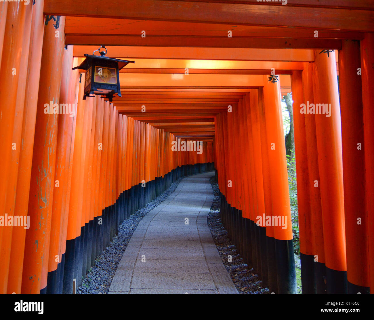 Torii gates at Fushimi Inari Shrine in Kyoto, Japan. Fushimi shrine is ...