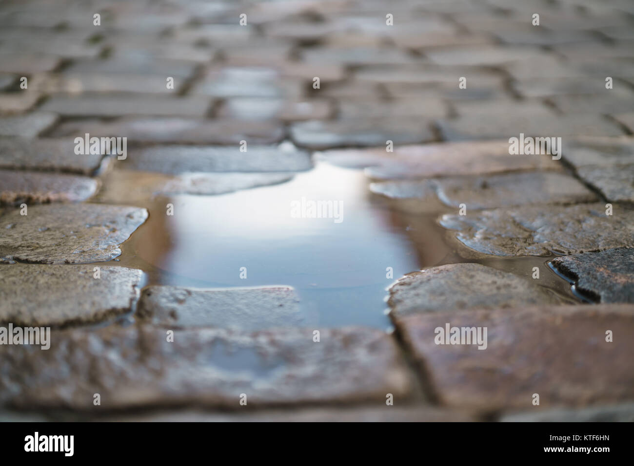 puddle on old stone pavement background Stock Photo - Alamy