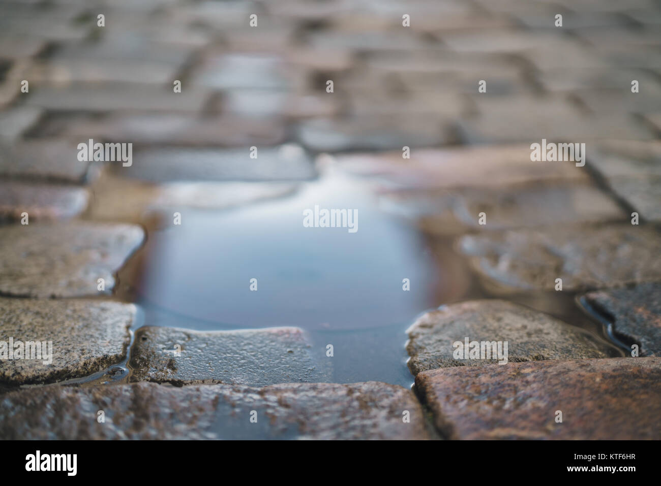 puddle on old stone pavement background Stock Photo - Alamy