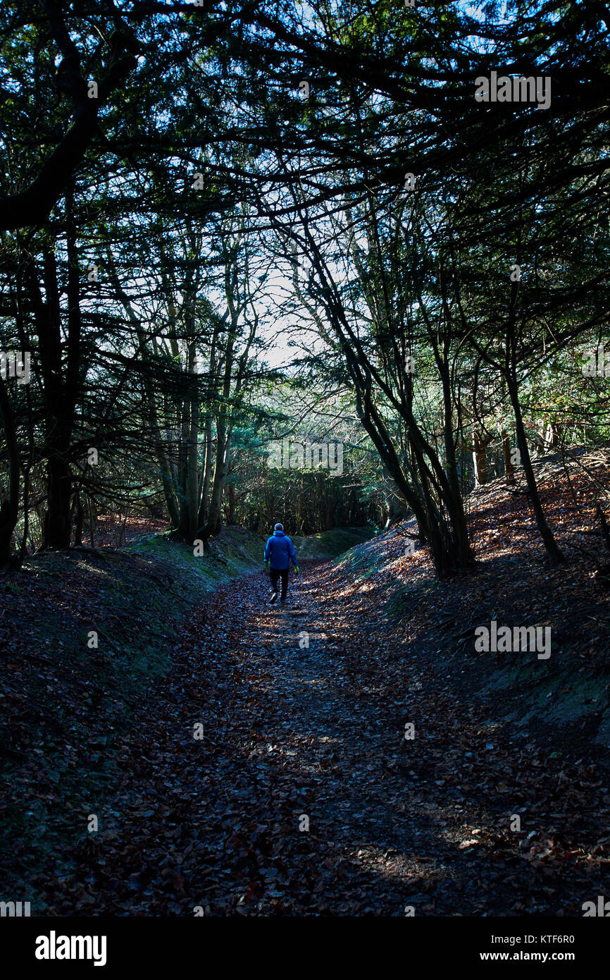 Man walking on pathway through wintry woodland Stock Photo - Alamy