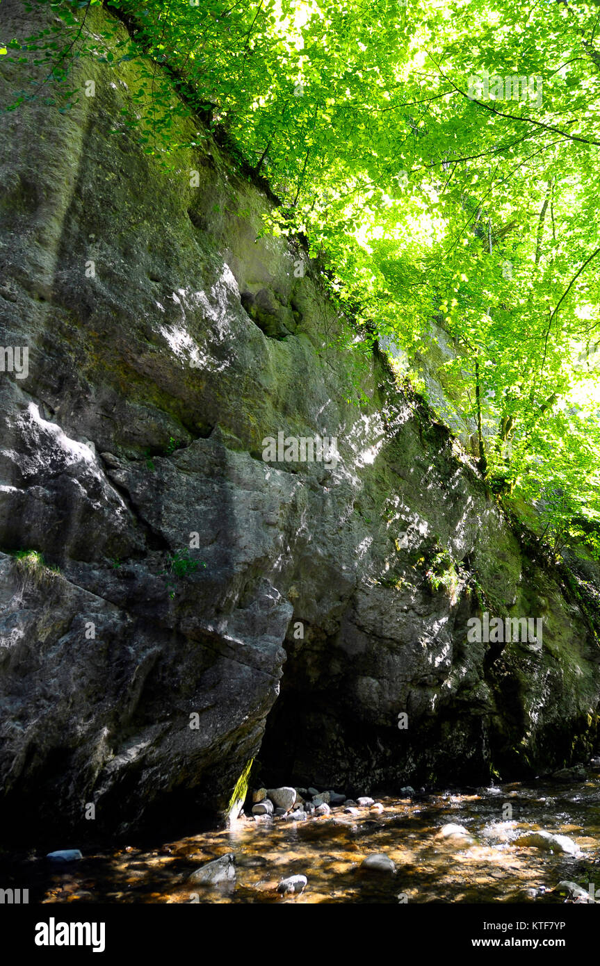 Annecy river, stones and spring trees landscape Stock Photo - Alamy