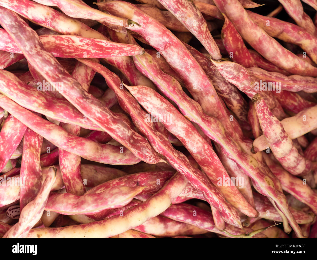 Fresh Borlotti Beans for sale at Italian Market Stock Photo - Alamy