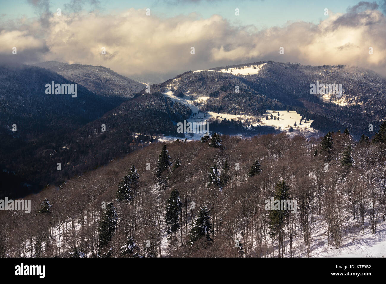 Winter landscape in the Vosges mountains from the Markstein, France ...