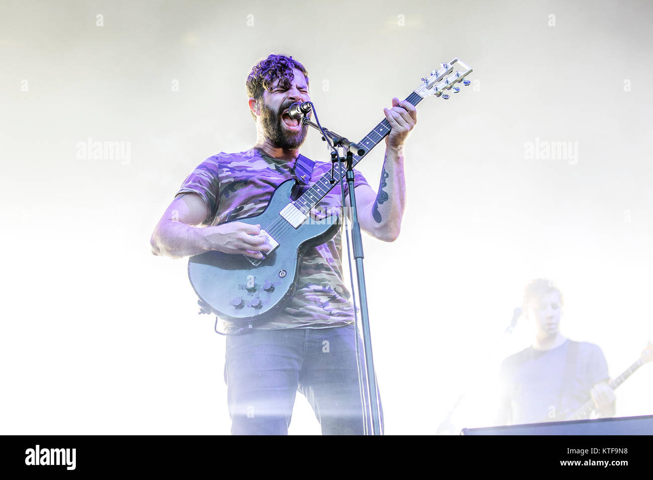 English foals hi-res stock photography and images - Alamy