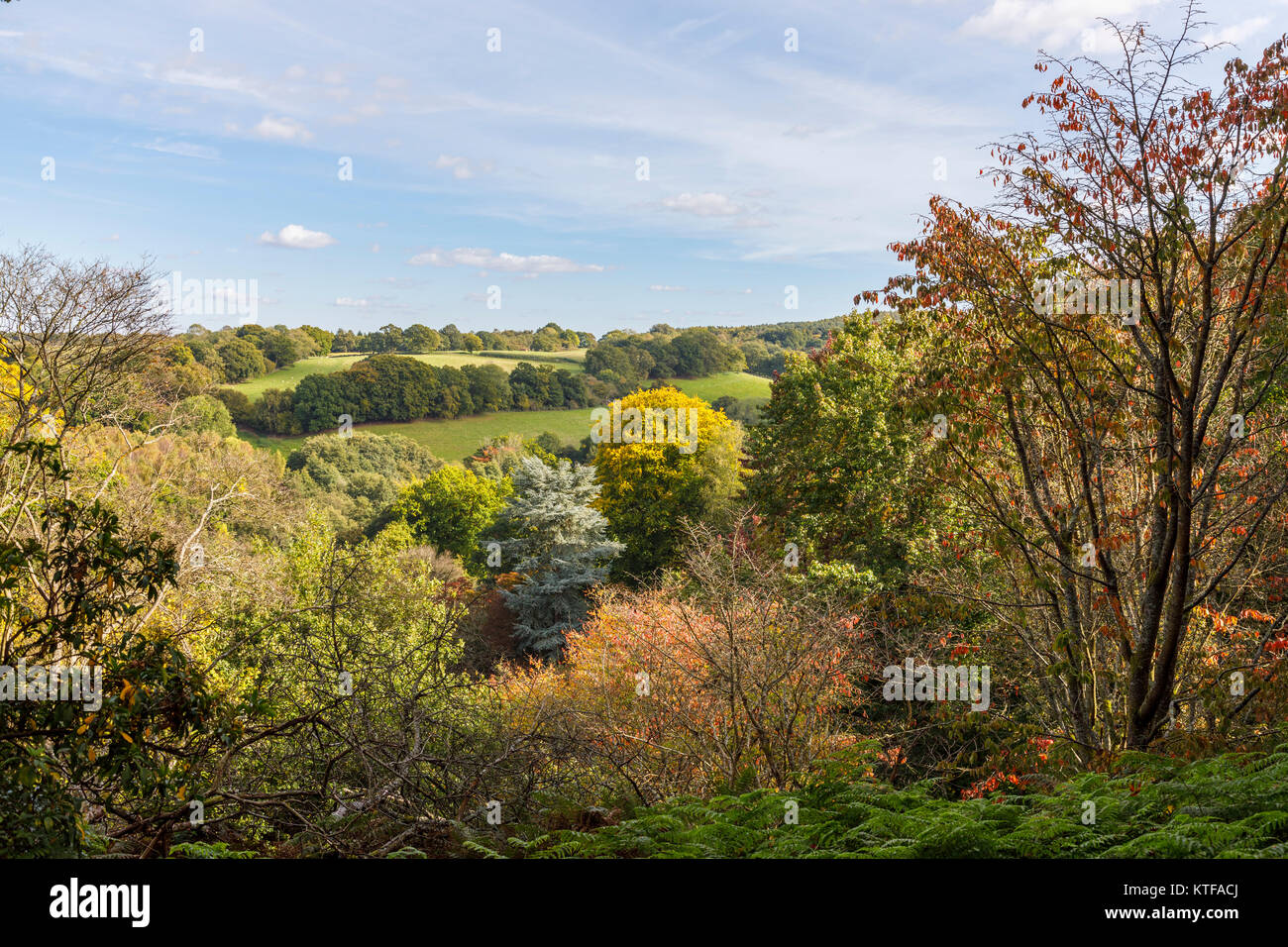 Surrey hill and woodlands hi-res stock photography and images - Alamy