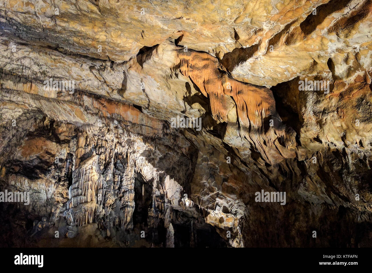 Tiger in cave hi-res stock photography and images - Alamy