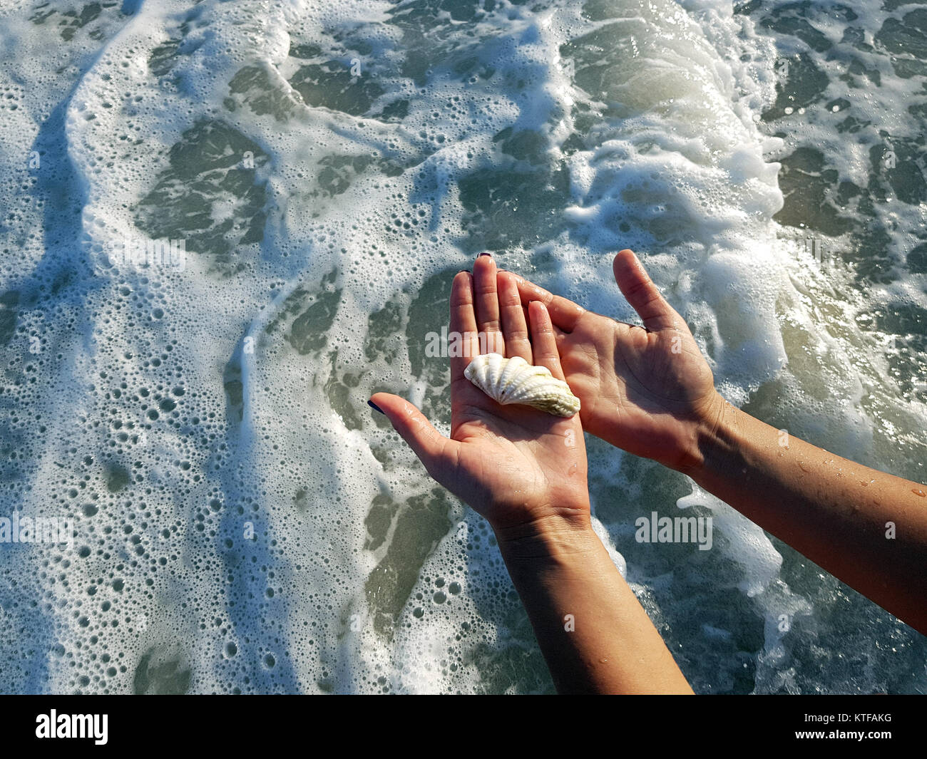 Female hands holding a seashell above the waves. Close-up Stock Photo ...