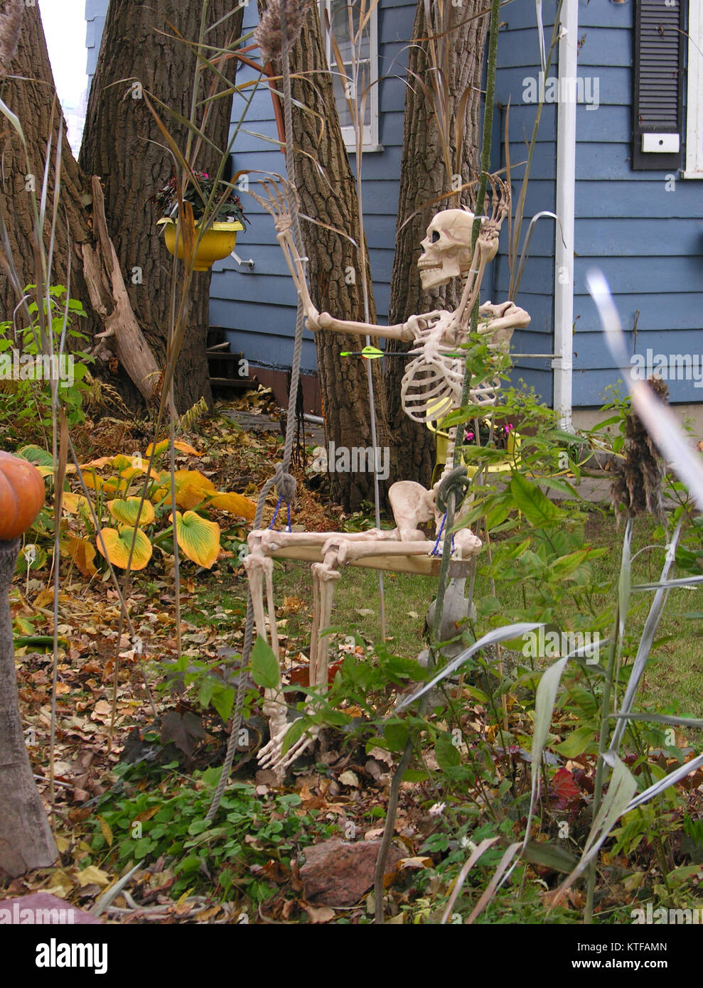 Spooky scene hi-res stock photography and images - Alamy